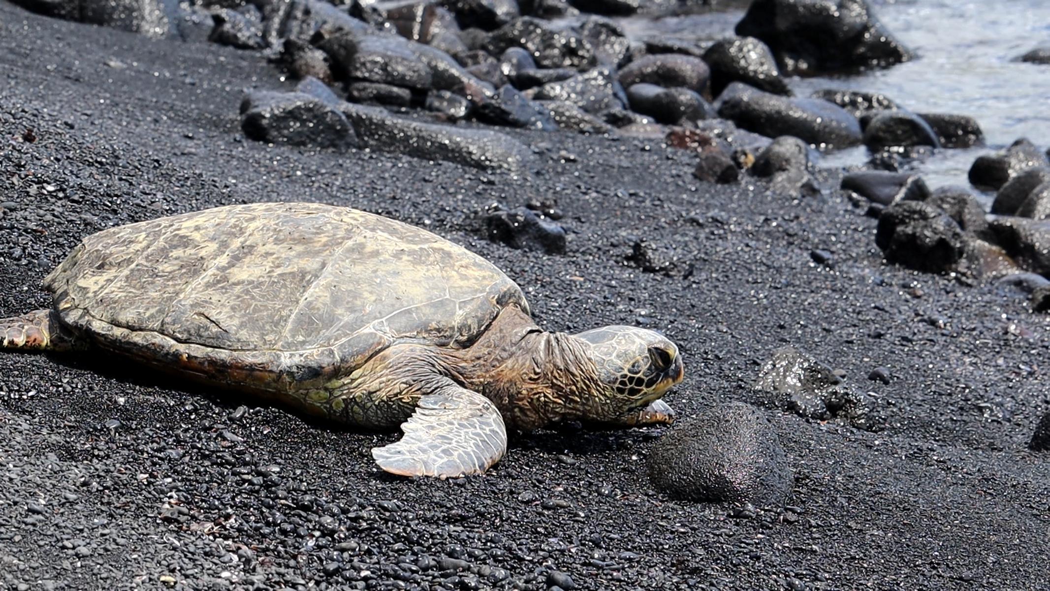 Berg & Strand | Reiseblog – Big Island